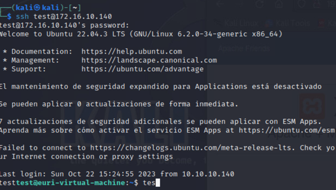 Iptables: Guía completa para configurar y proteger tu red con Linux